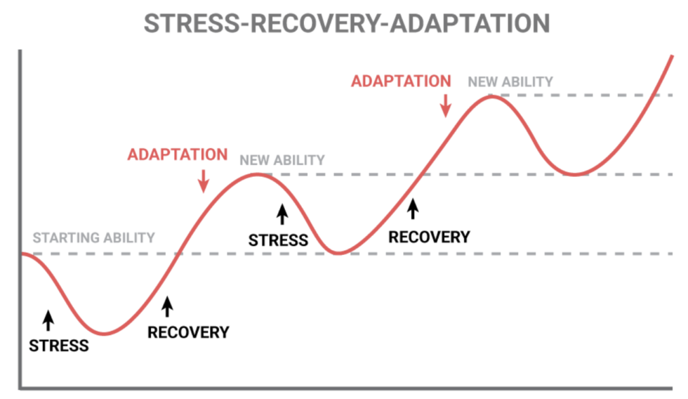 A Guide to Tendinopathy Recovery